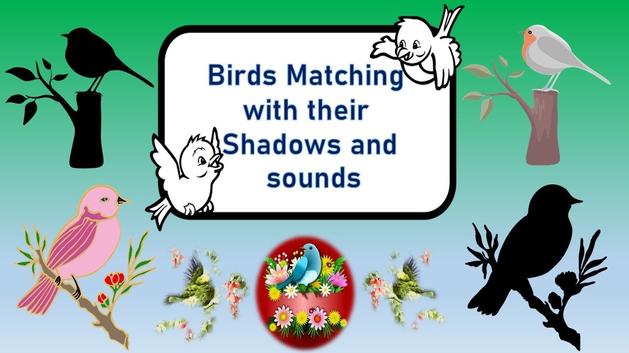 Matching Birds with their shadows | #preschoollearning #birds # ...