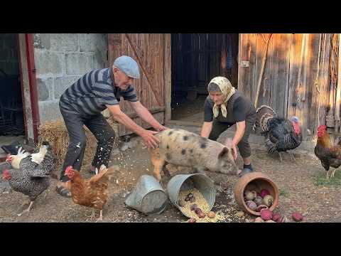Life in the Village — The Curious Old Age of an Elderly Couple