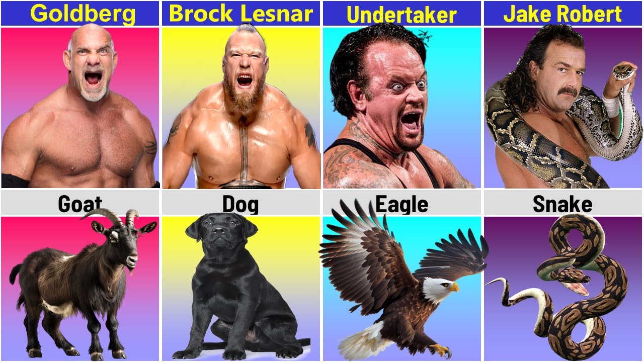 O Animal Wwe
