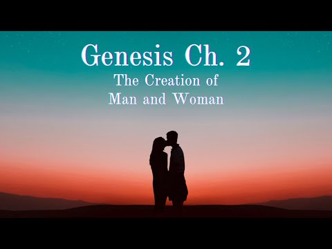 Genesis 2: The Creation of Man and Woman - YouTube