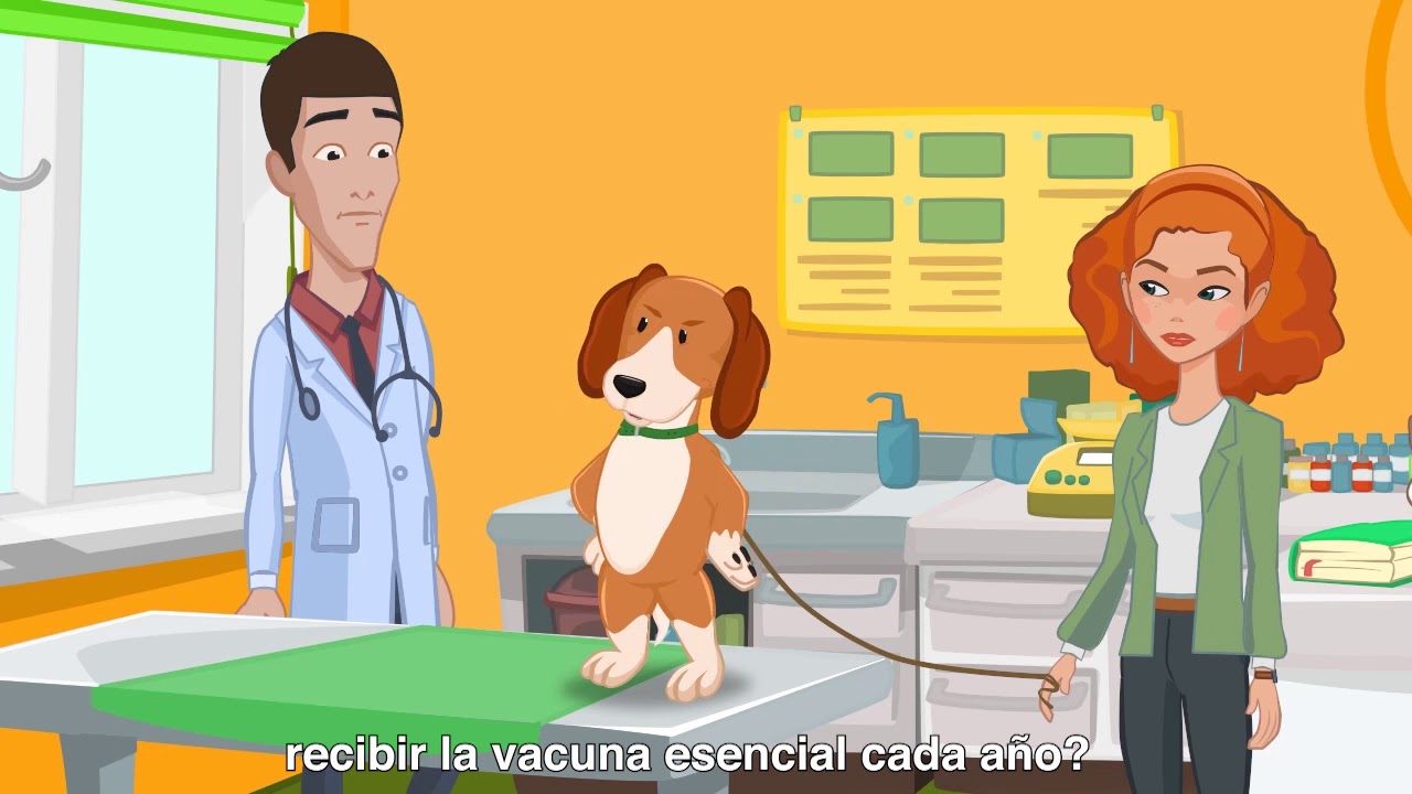 VACCICHECK - YouTube