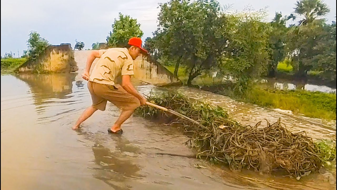 Activity Remove Floating Plants Clogged Massive Dam Drain Water Final ...