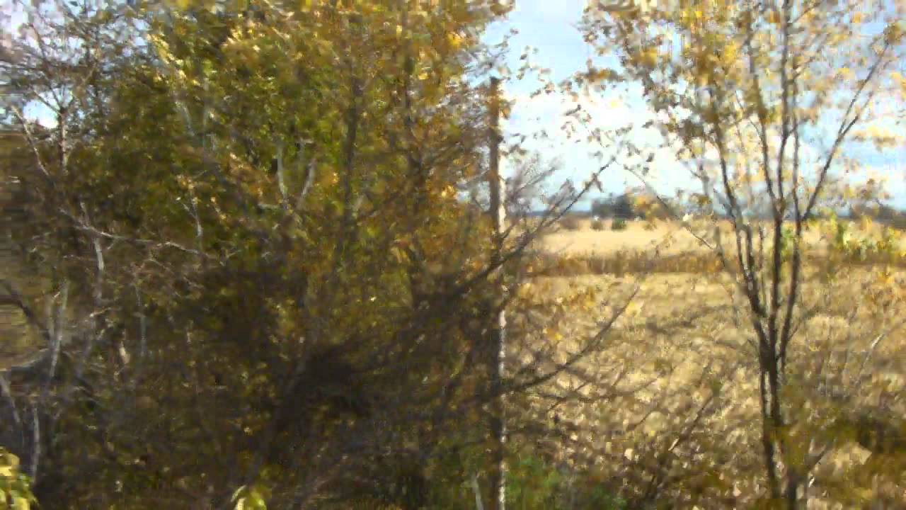 bloods point road haunted bridge - YouTube