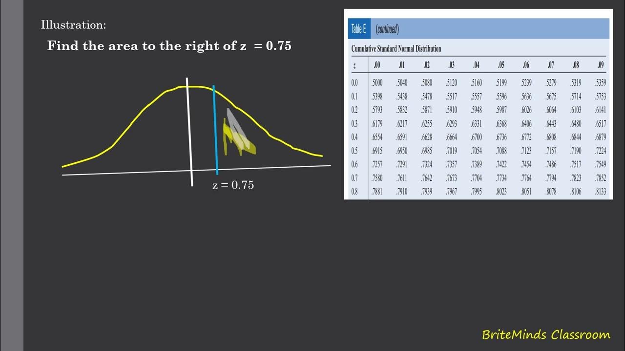 Finding Areas Under Standard Normal Distribution Curve - YouTube