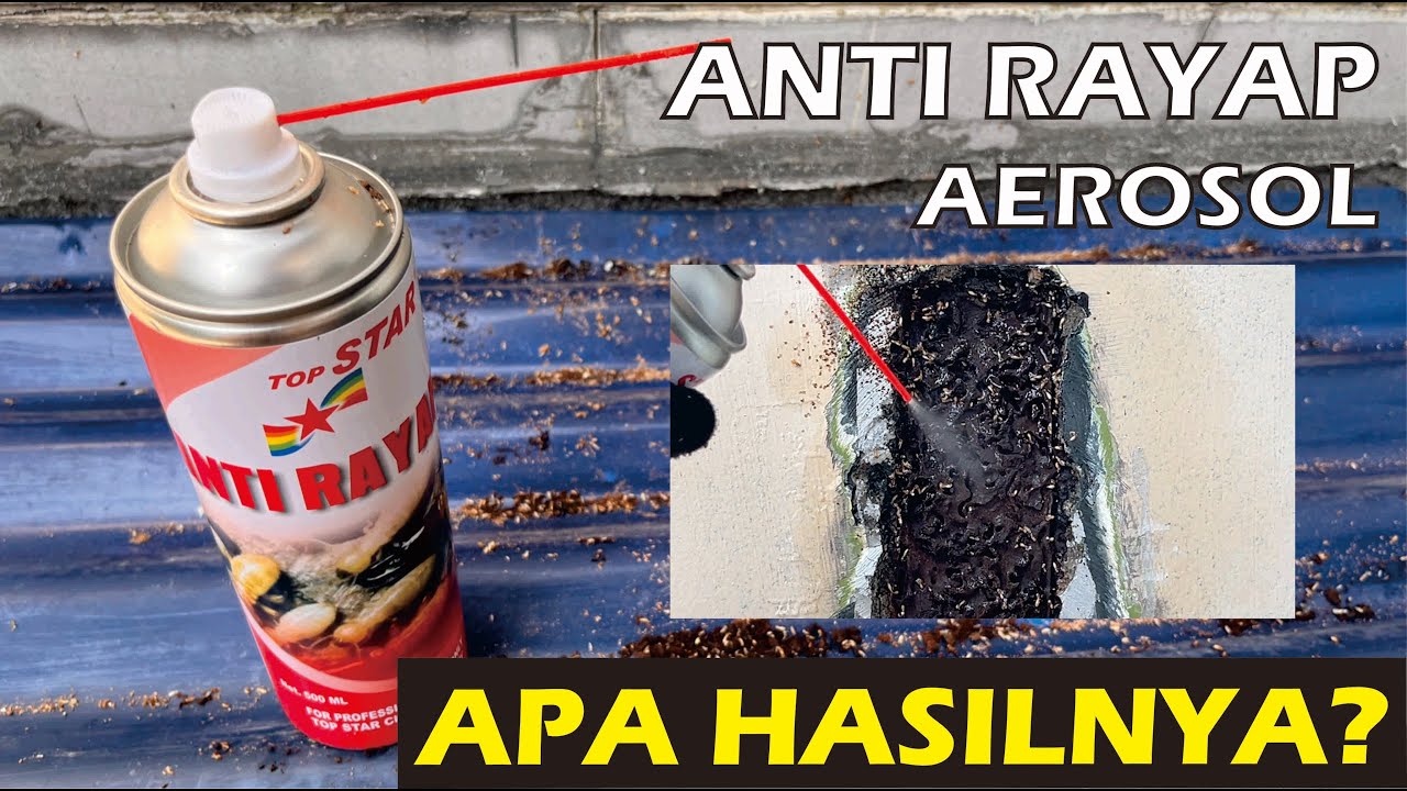 Basmi rayap dengan semprotan aerosol. Apakah berhasil? - YouTube