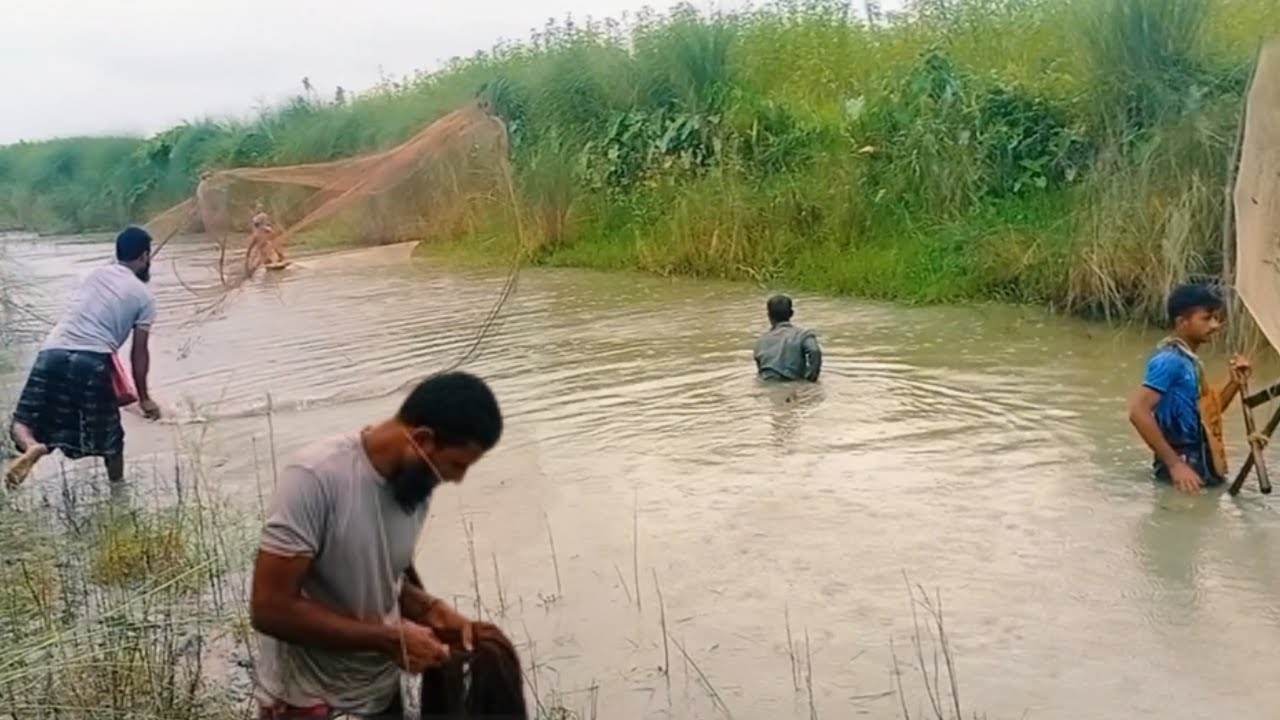 Incredible Fishing Techniques by Village Fisher | Very Amazing Fish ...
