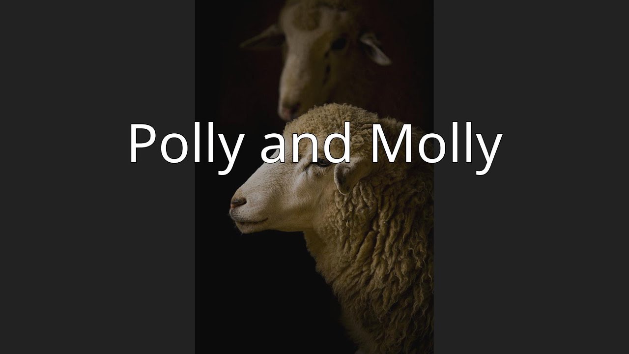 Polly and Molly - YouTube