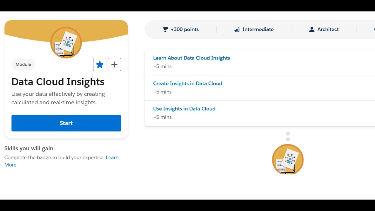 Use Insights in Data Cloud: Data Cloud Insights - YouTube