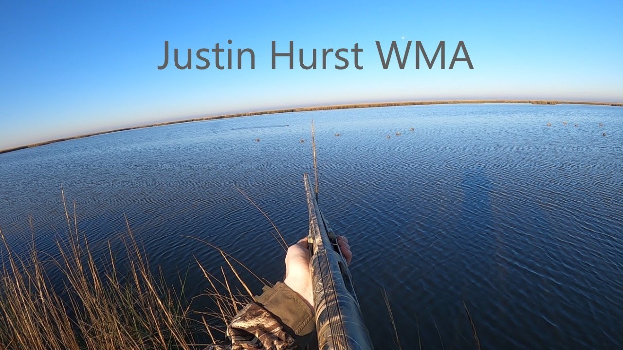 Justin Hurst WMA | Crowded Tuesday Hunt - YouTube