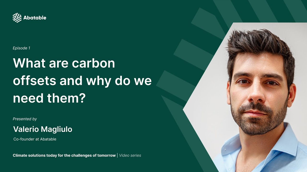 What are carbon offsets and how they can be an effective climate tool ...