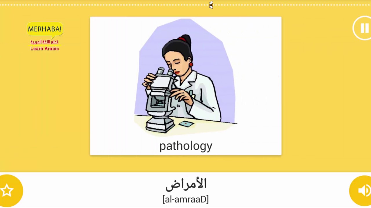 Part 8 - Hospital - Vocabulary of health - important words - Learn ...