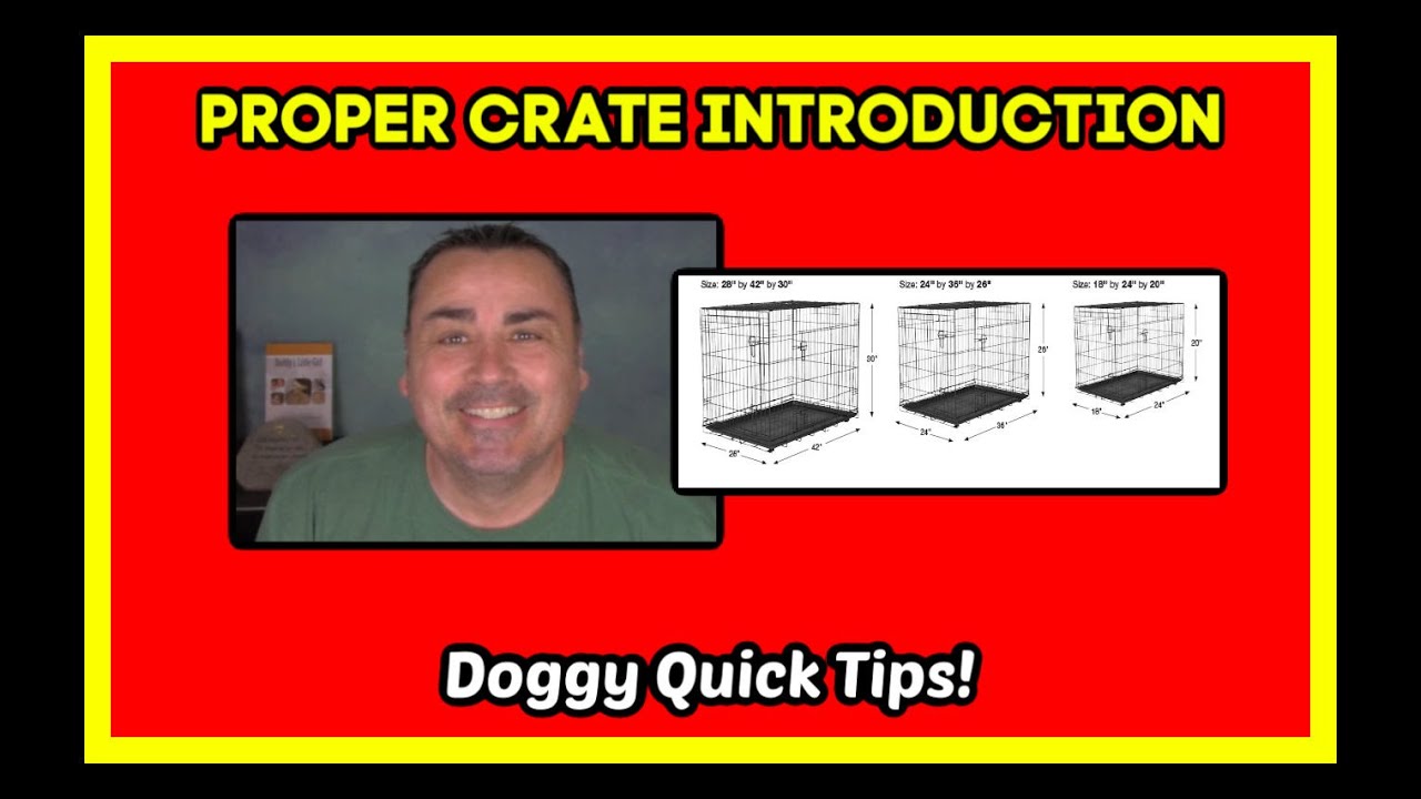 How To Properly Introduce Crate To Dog Or Puppy Crate Introduction how-to-properly-introduce-crate-to-dog-or-puppy-crate-introduction