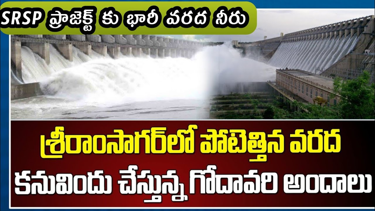 Sriram Sagar project water level today || srsp project || శ్రీరాం సాగర్ ...