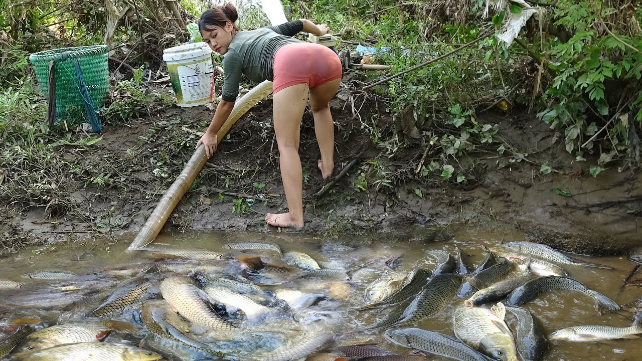 Top fishing videos: Survival skills - Unique fishing techniques - Best ...