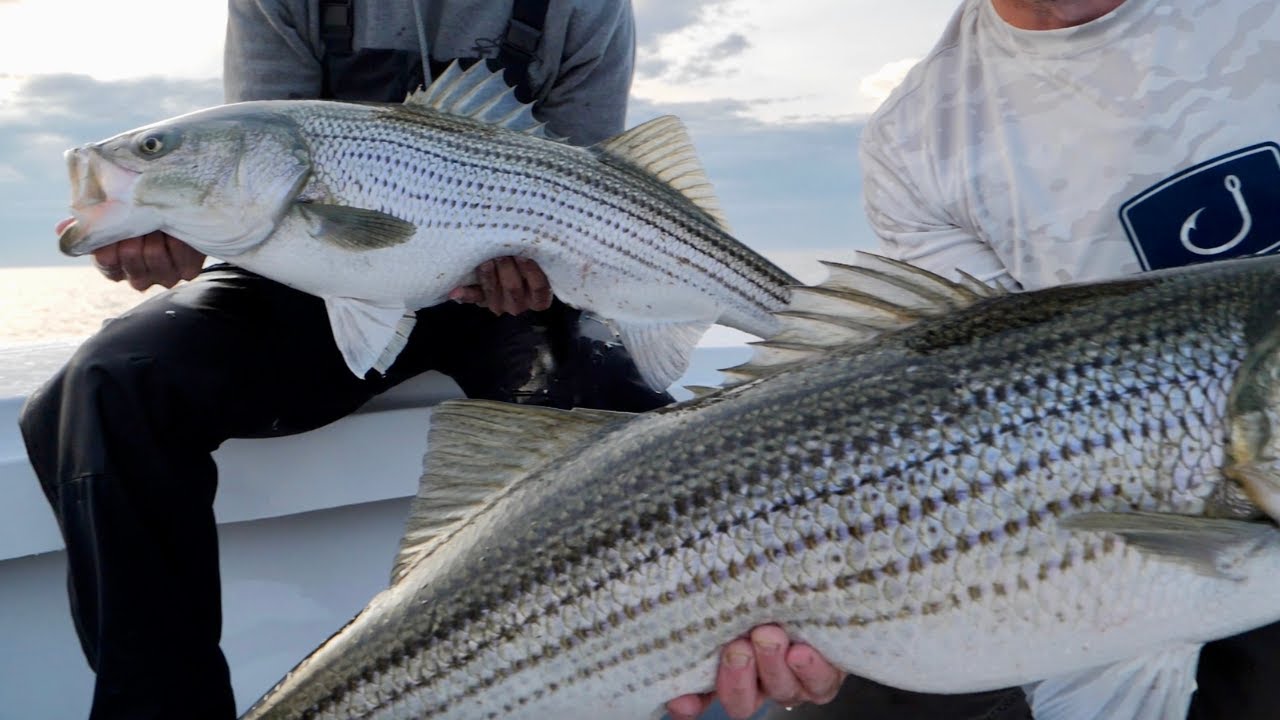 Become A Better Fisherman | Fish Logging Apps | Salty Cape TV: S2023 ...