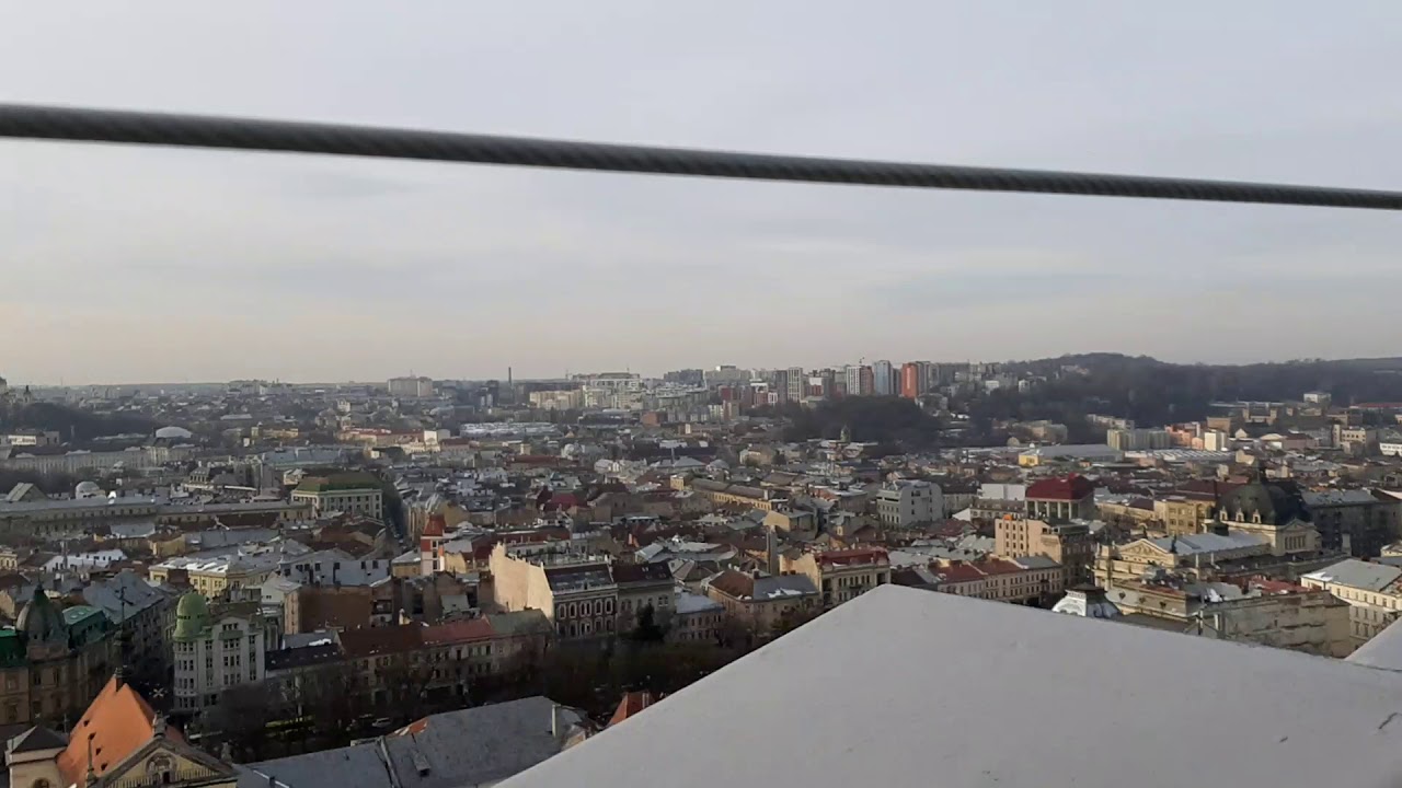 НОВЫЙ ГОД ВО ЛЬВОВЕ!!!!😉🐭🐷🦊🦝🐮🐺🐯🐶🦁 - YouTube