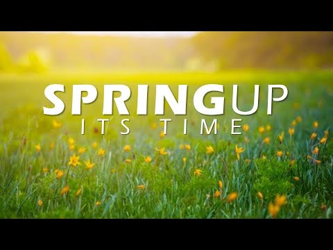 Spring Up Its Time - YouTube