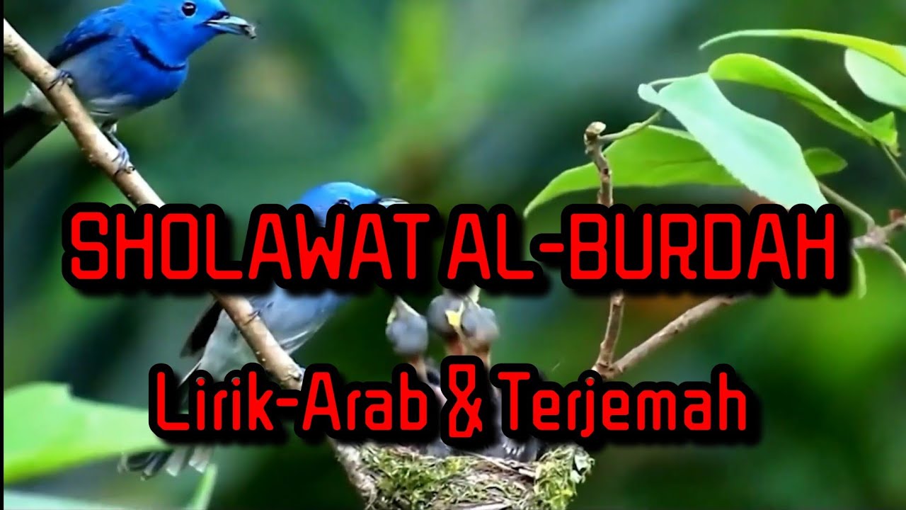 SHOLAWAT AL-BURDAH [ Lirik-Arab & Terjemah ] versi Wina assuban - YouTube