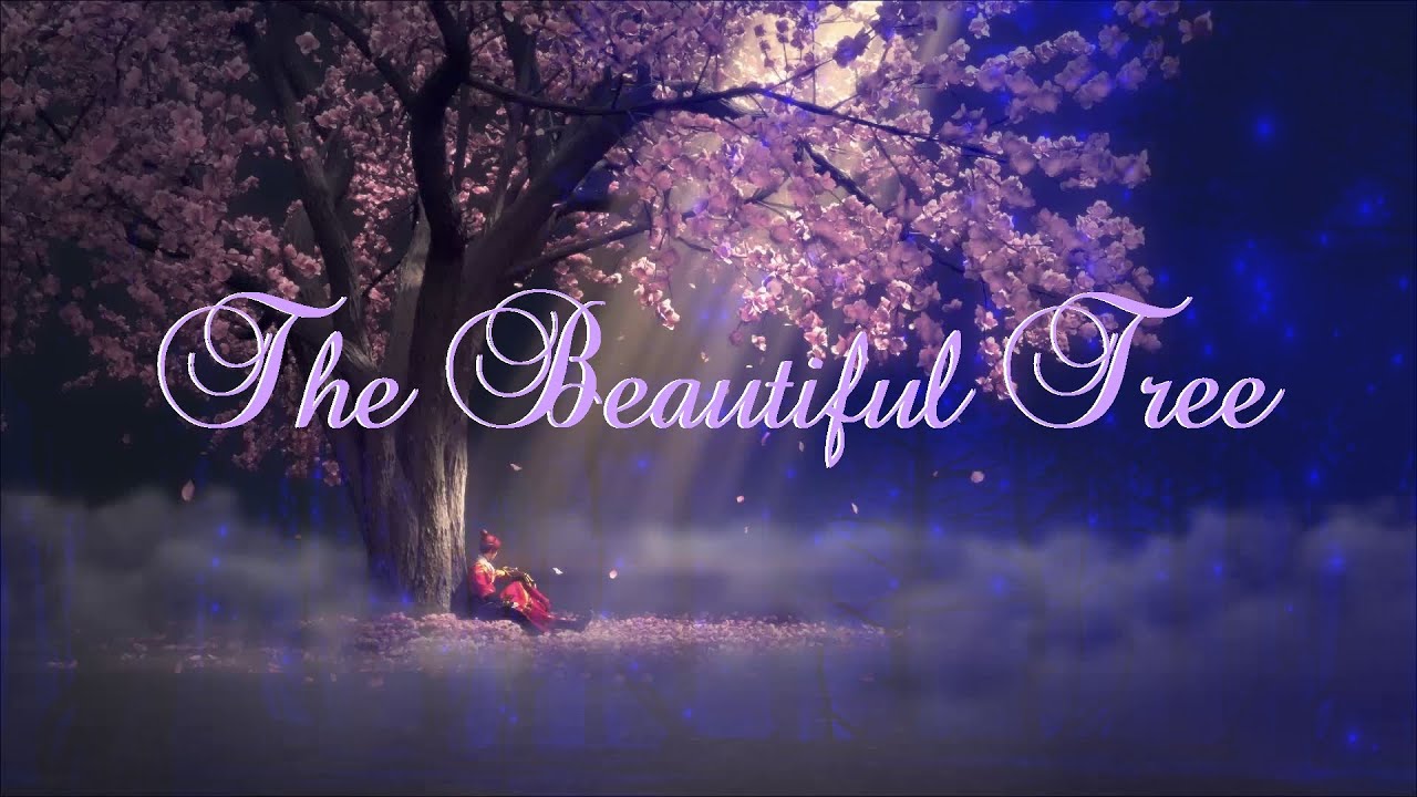 The Beautiful Tree 4 Hours Relaxing Music with Beautiful Piano and Harp ...