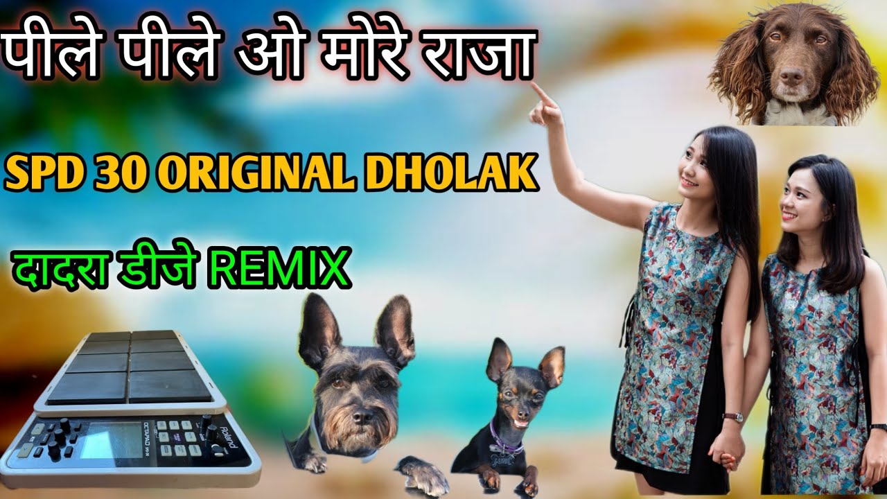 पीले पीले ओ मोरे राजा / SPD 30 DADRA PATCH EDITING / PEELE PEELE O MORE ...