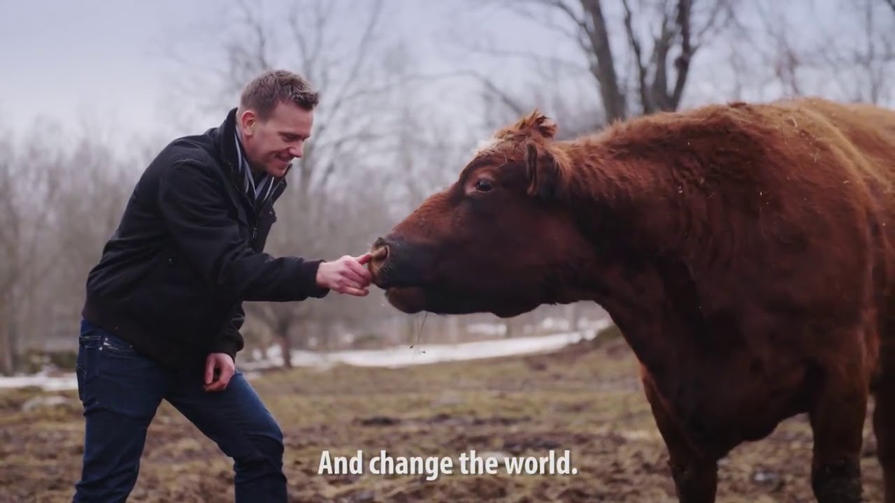 Let's Create A World Without Factory Farming - YouTube