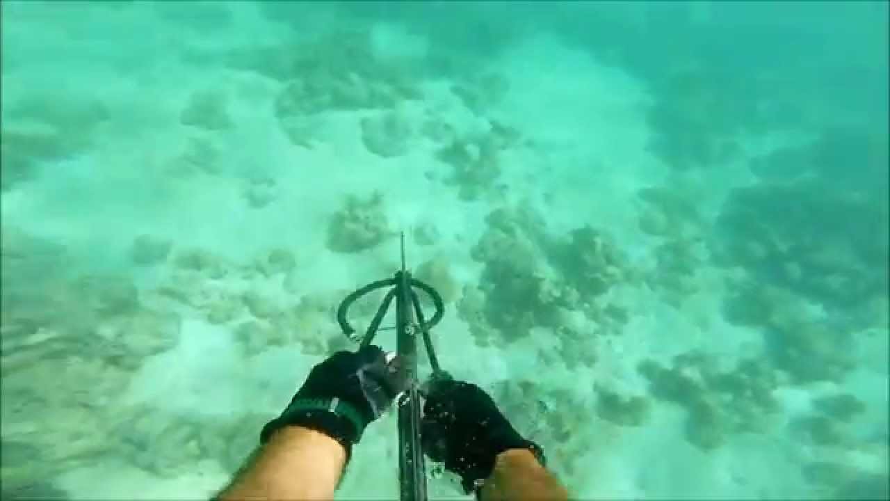 Cut Wreck Bahrain Spearfishing - YouTube