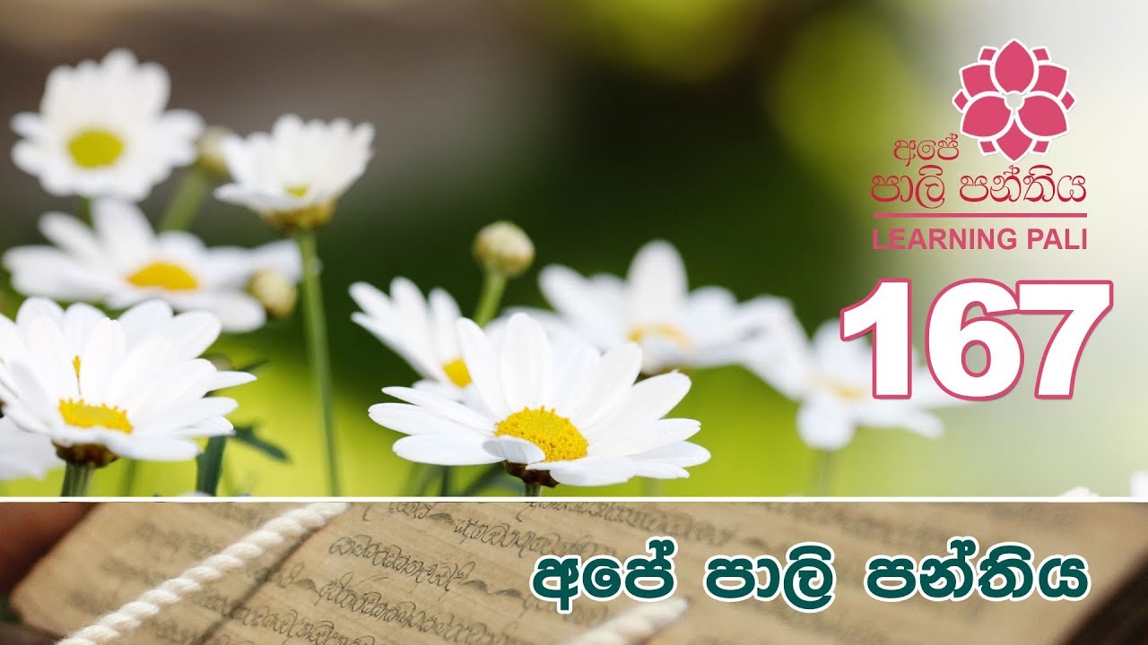 Learning Pali language 167 | අපේ පාලි පන්තිය 167 - YouTube