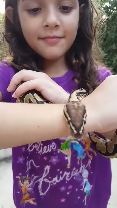 Ball python attacks little girl - YouTube