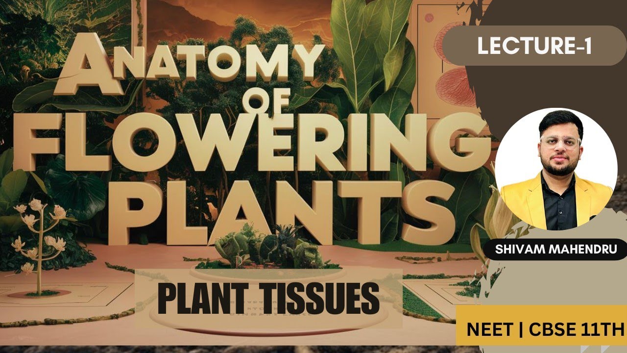 Introduction & Plant Tissues | Anatomy of Flowering Plants | Lecture 1 ...