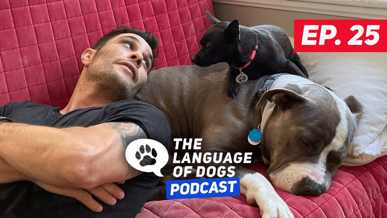 The Language of Dogs Podcast EP.025 "DOG DAYS OF WINTER" W/ Justin ...