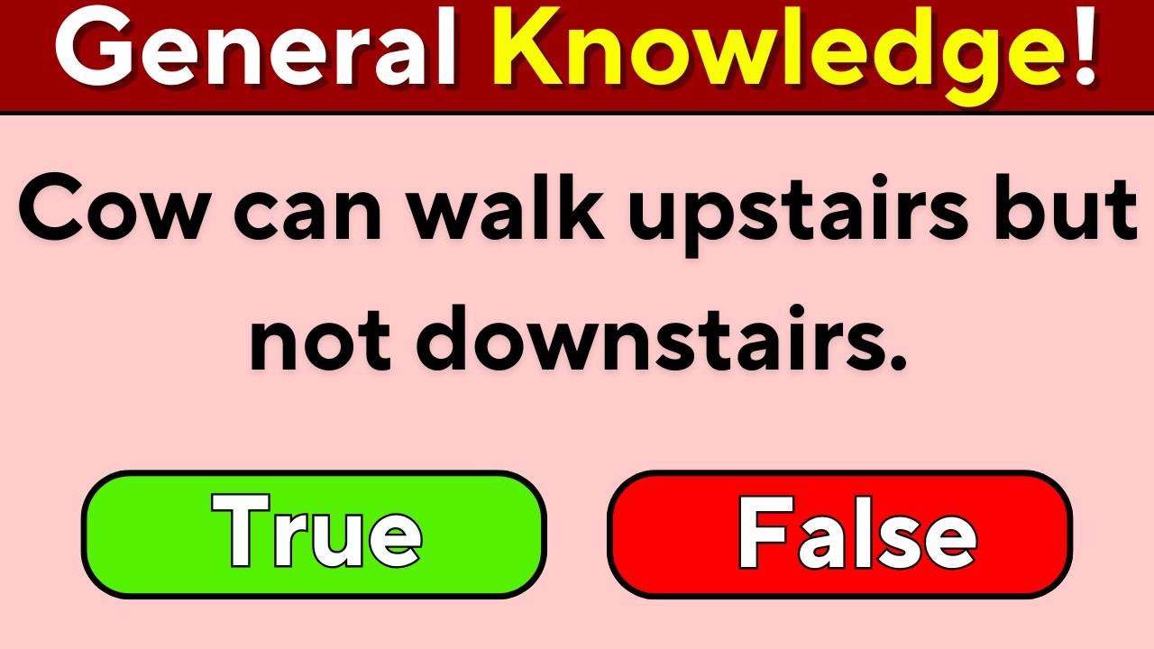True Or False Quiz |General Knowledge Quiz |General Knowledge |GK Facts | GK | Trivia |True ...