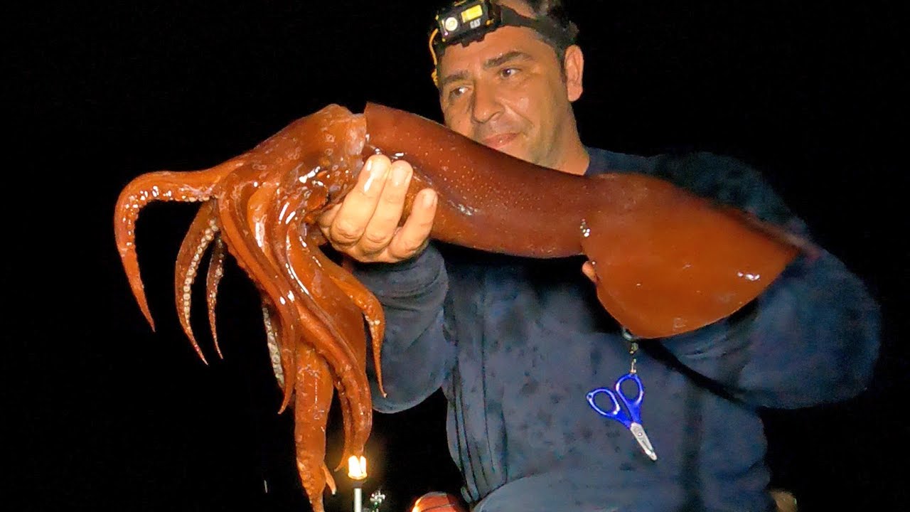 ΘΡΑΨΑΛΑ 🔥 ΤΟ "HOT" ΨΑΡΕΜΑ ΤΟΥ ΚΑΛΟΚΑΙΡΙΟΥ | RED DEVILS OF THE DEEP 🦑 ...