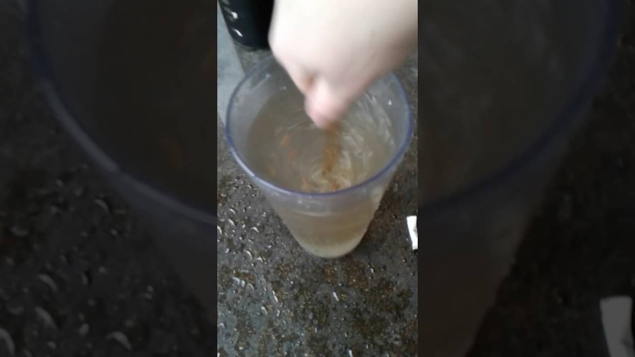 HOW TO MAKE A WHIRLPOOL IN A CUP - YouTube