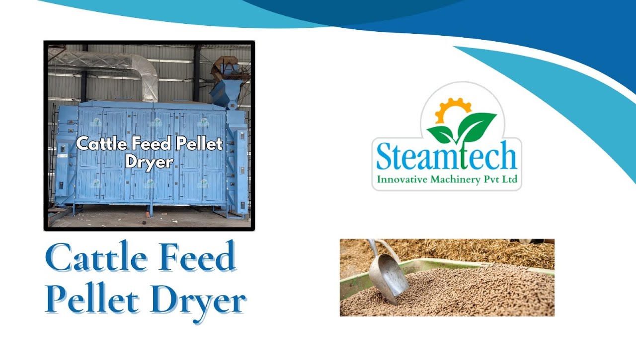 Continuous Cattle Animal feed pellet dryer पशु आहार ड्रायर Feed Pellet ...