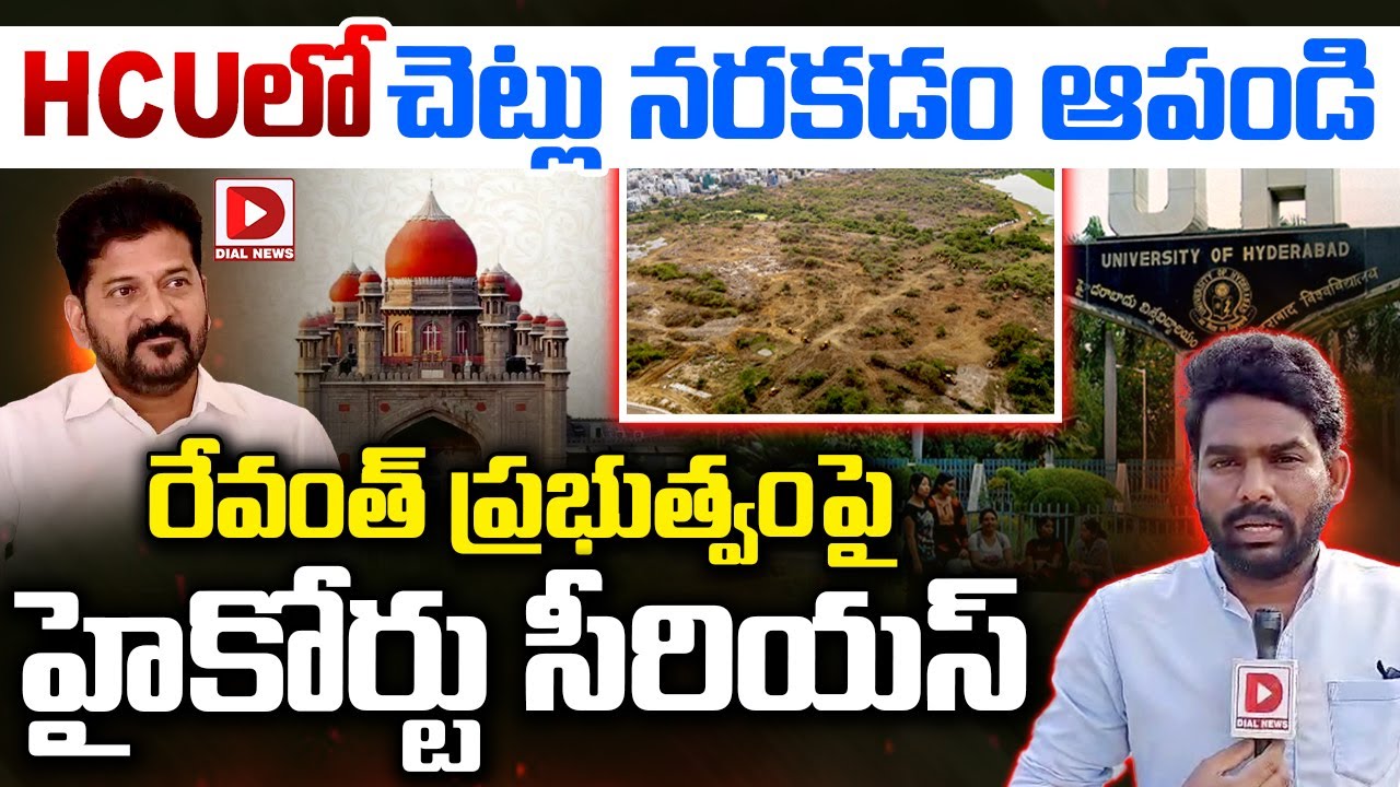 Live : HCU లో చెట్లు నరకడం ఆపండి.. రేవంత్ ప్రభుత్వంపై హైకోర్టు సీరియస్ ...