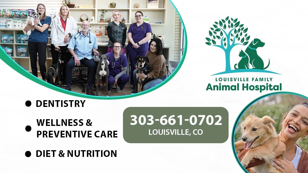 Louisville Family Animal Hospital - YouTube