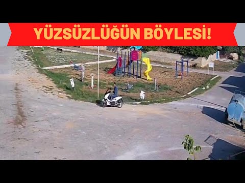 ÇALDIĞI PARALARLA İNTERNETTE PAYLAŞIM YAPAN YÜZSÜZ HIRSIZ YAKALNADI!
