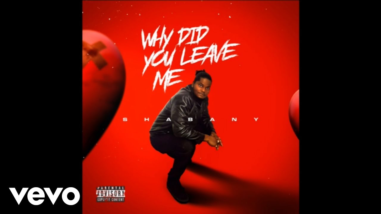 Shabany - Why Did You Leave Me (Official Audio) - YouTube