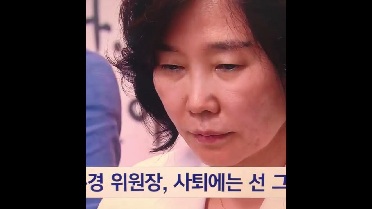노인 폄하 나흘만에 사과한 김은경 좌초위기혁신위 진정성없는사과 김은경 악어의눈물 뺨때리는 김호일대한노인회장 뉴스 Youtube