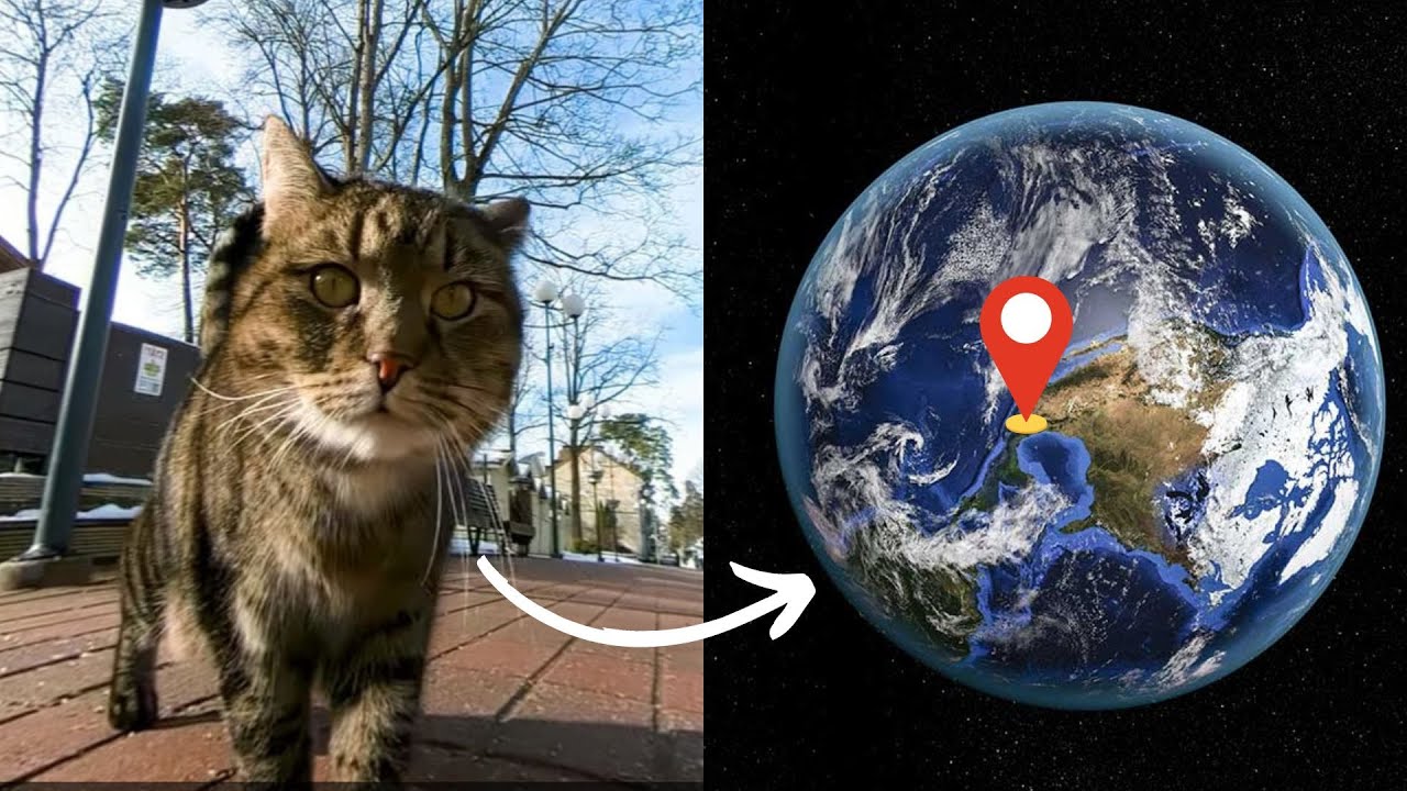 Znalazłem Maxwell The Cat na mapie Google Earth! #maxwell - YouTube