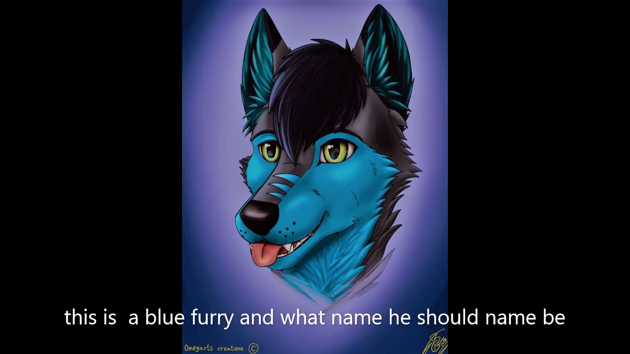 blue furry - YouTube