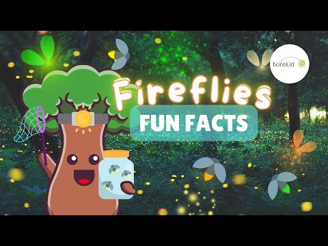 🌟 Firefly Fun Facts! Discover: How Fireflies Glow | Educational Video for Preschoolers