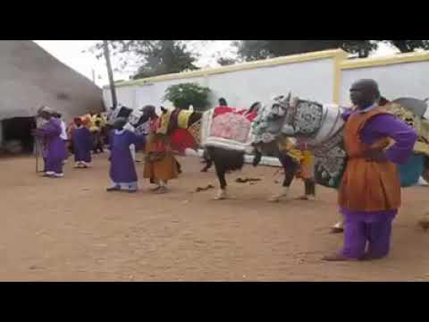 A LA DECOUVERTE DU LAMIDAT DE NGAOUNDERE  (CAMEROUN)