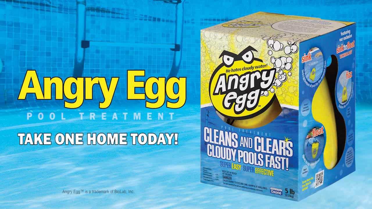 Angry Egg Pool Shock - YouTube