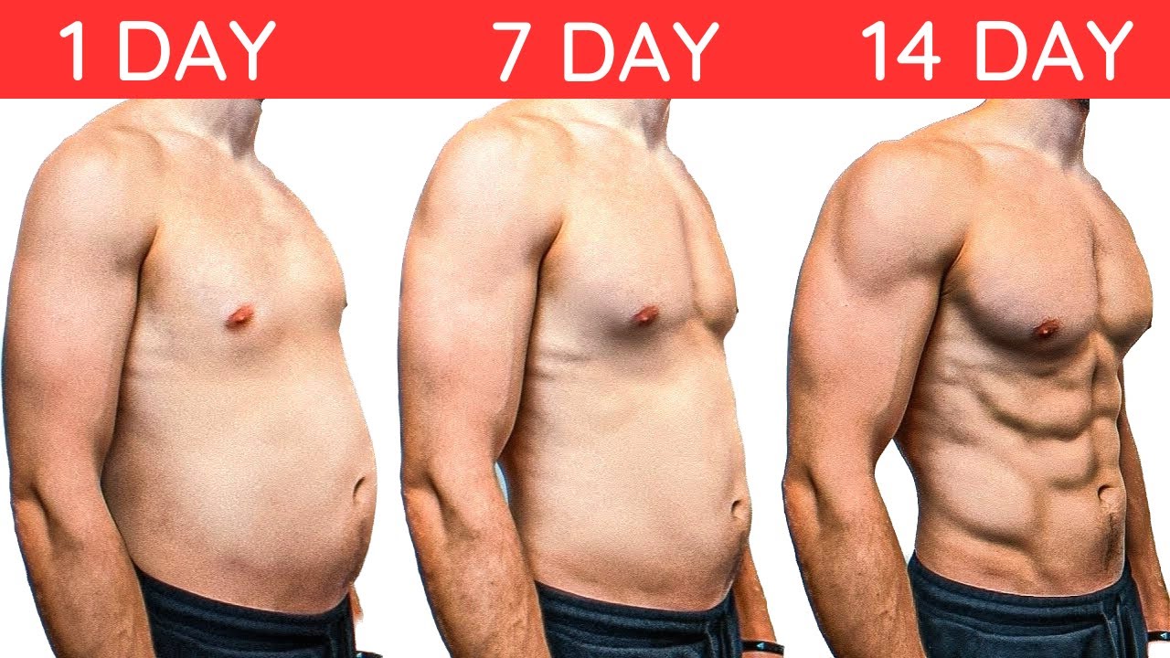 Plank Challenge to Fix Belly Fat 14 Day! | Follow Along - YouTube