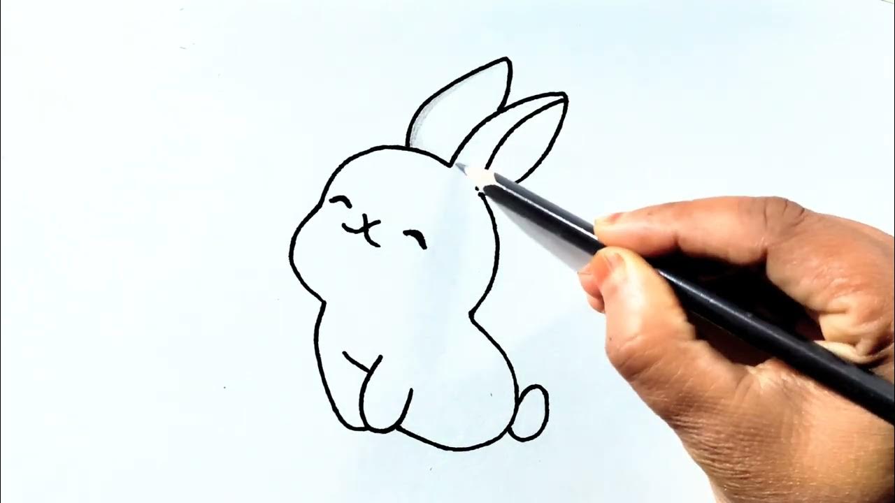 How To Draw Cute Rabbit 🐰 Easy Rabbit Drawing And Colouring Youtube