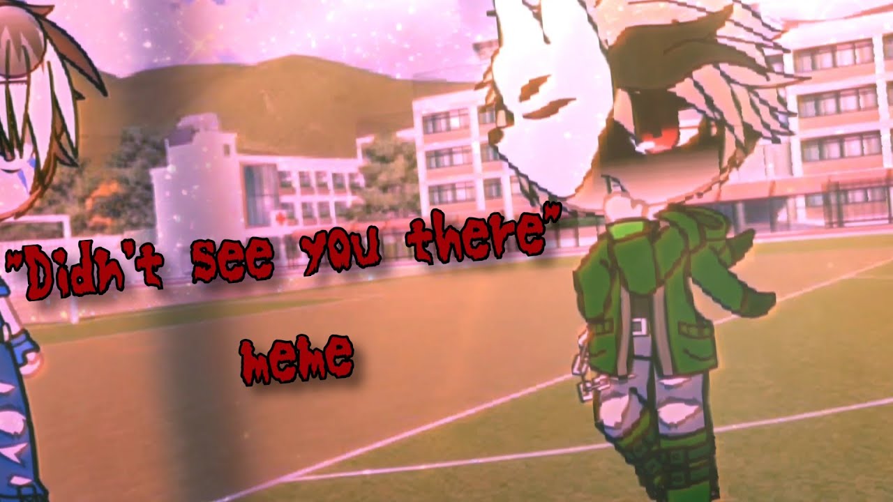 "Didn't see you there..."//meme\\ft.dream - YouTube