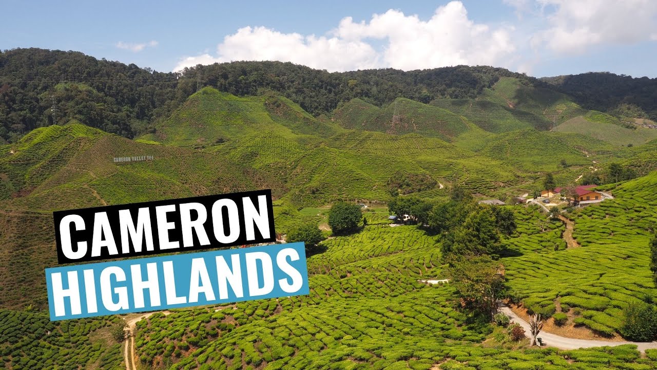 CAMERON HIGHLANDS | trail 10 and 6 from Tanah Rata to Cameron Valley ...