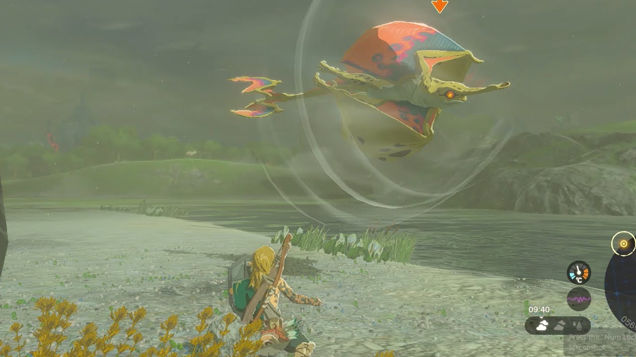 Link Vs the New Aerocuda Enemy - Tears of the Kingdom - YouTube