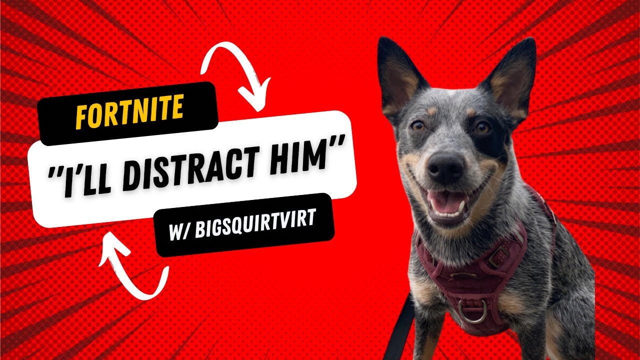 The Ultimate Fortnite Distraction - YouTube